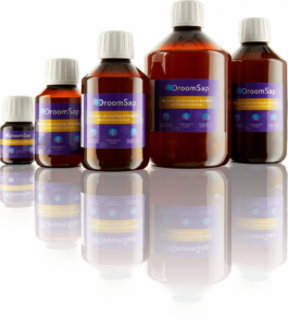 DroomSap review: In dromenland door DroomSap? [Test 2025]